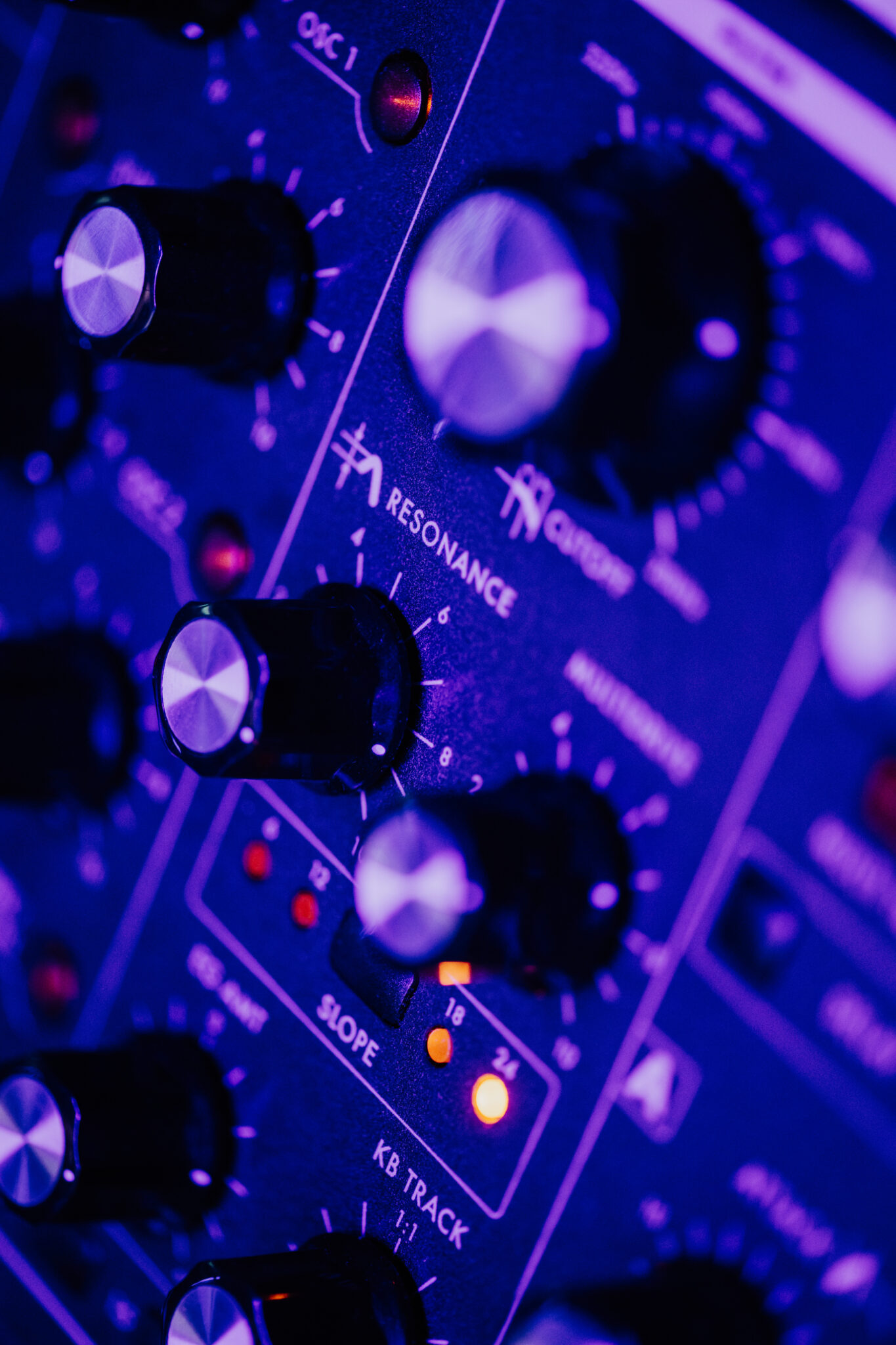 Basic Wavez | Premium Sample Packs, Presets & Courses